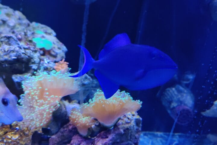 Accueil - Bourse aux poissons, échanges et dons - Fish Finder