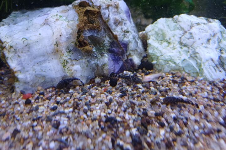 Accueil - Bourse aux poissons, échanges et dons - Fish Finder